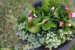 6 Step Recipe for Partial-Sun Container Garden Plus Planting Tips ...