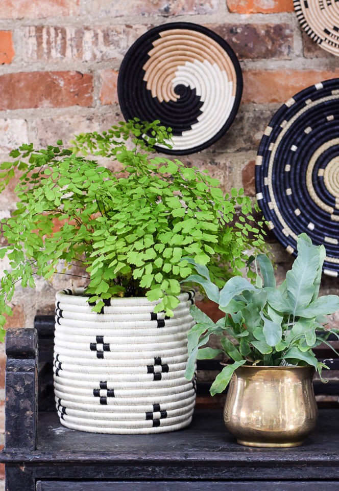 Spring Shop Displays at Lost and Found - Lost & Found Decor